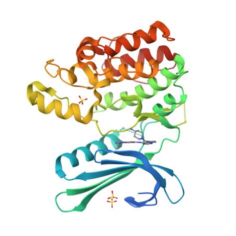 rcsb pdb 8gmd crystal structure of ap2 associated kinase 1 complexed
