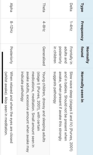 Eeg Flashcards Quizlet