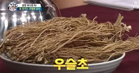 우슬뿌리 효능 편백나무 욕조 건강 식품 주목