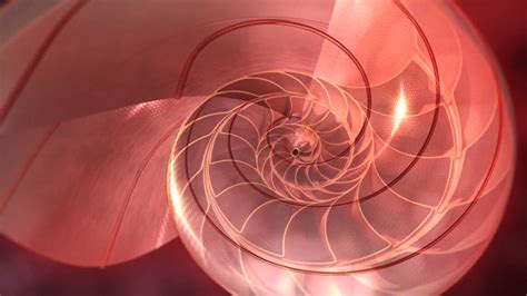 The Elegance Of Mathematics Meets The Breathtaking Complexity Of Nature Aeon Videos