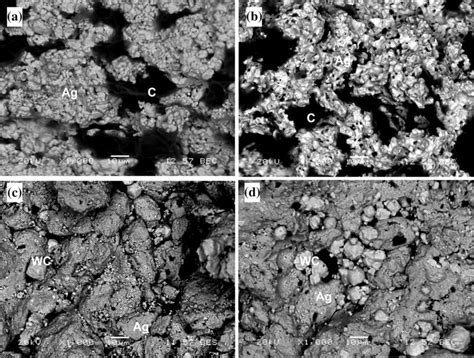 Sem Micrographs Of Fractured Surfaces A Ag C Green Sample