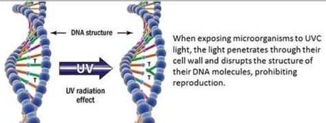 How Is UVC Measured How Much UVC To Sterilization Pixel LED Blog Shenzhen Suntech Company