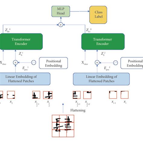 The Overall Architecture Of The Two Way Parallel Vision Transformer Download Scientific Diagram