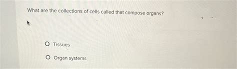 Solved What Are The Collections Of Cells Called That Compose