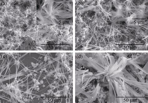 表面活性剂对羟基磷灰石纤维形貌的影响
