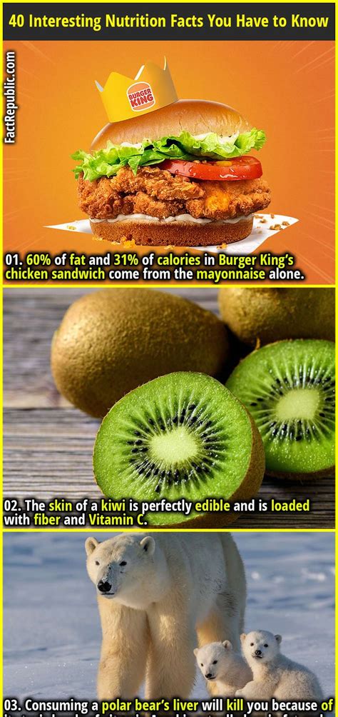 40 Interesting Nutrition Facts You Have To Know Fact Republic