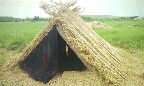 Що це таке - халабуда, її різновиди