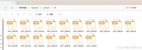 【arcgis】以表格显示分区统计的批量处理方法arcgis分区统计 Csdn博客