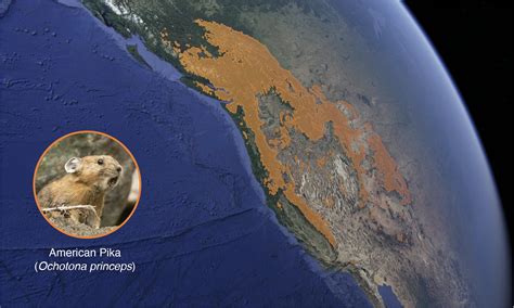 Introducing The Inaturalist Geomodel Spatial Implicit Neural Representations For Global Scale