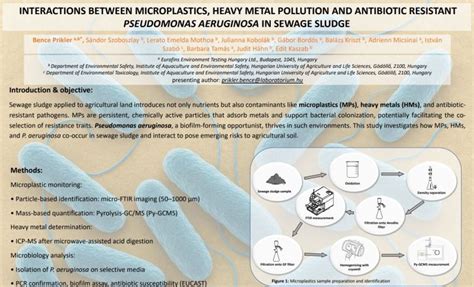 Microplastics Testing Microplastic Setacvienna Accredited Eurofins Hungary