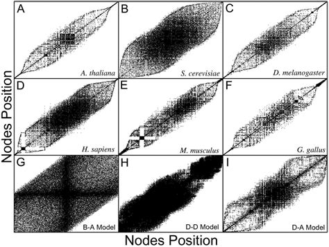 Ordered Association Matrices This Figure Presents The Association Download Scientific Diagram