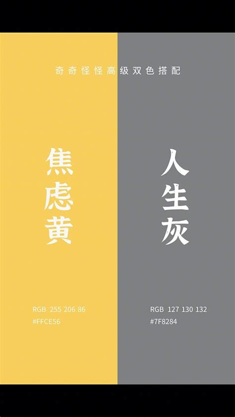 双色搭配