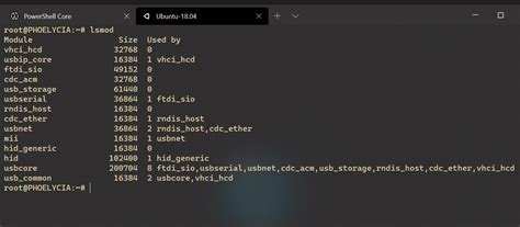 Usbip Error Import Device · Issue 13 · Rpasekusbip Wsl2 Instructions · Github