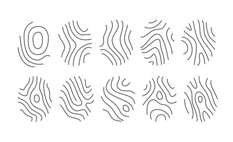 Touch Id Icon And Digital Privacy Isolated Vector Image