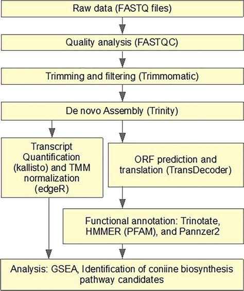 Outline Of The Data Processing The Libreoffice Draw V64 Download Scientific Diagram