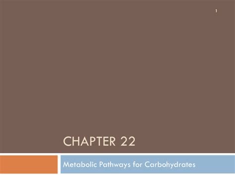 CHAPTER Metabolic Pathways For Carbohydrates