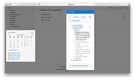 Moodle Inline Trainer