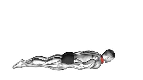 Prone Cervical Extension Isometric Hold Exercise Guide And Tips
