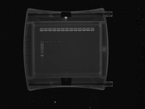 Why Is My RNA IVT Product Shorter Than Expected ResearchGate