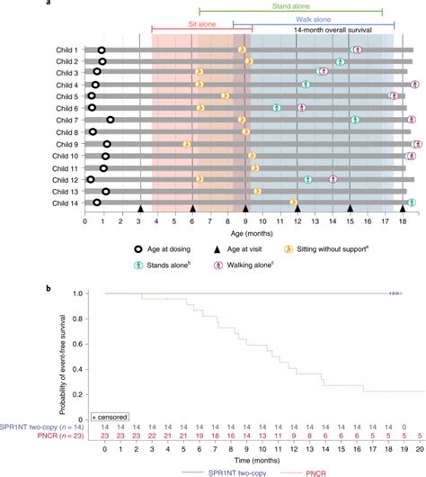 Child Support Cost Calculation 성범죄전문변호사