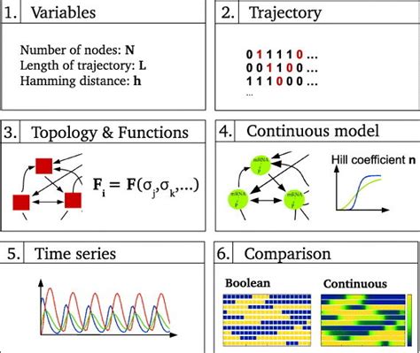 Different Steps Of The Procedure To Compare The Boolean And Continuous