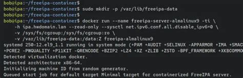 How To Install Freeipa Server With Docker On Debian 12