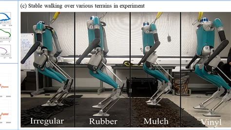 publications cyberbotics lab