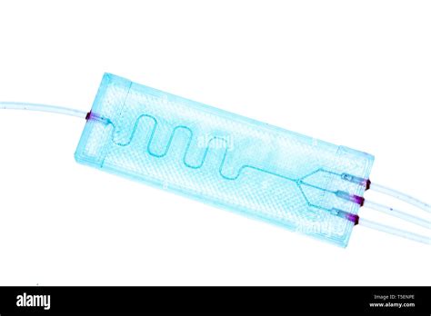 Organ On A Chip Ooc Microfluidic Device Chip That Simulates