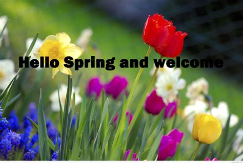 🔥 40 Hello Spring Wallpapers Wallpapersafari