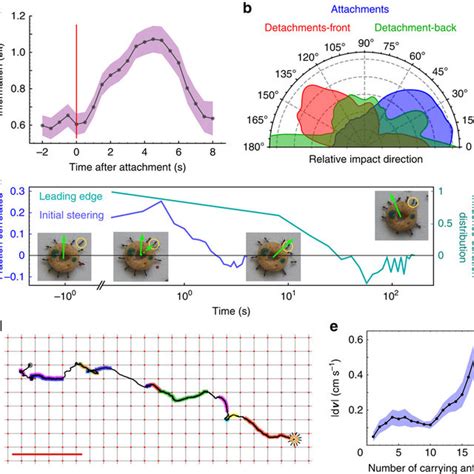 A The Two Real Branches Of The Lambert W Function B Graph Of The