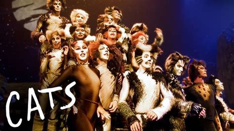 Cats The Musical Cast