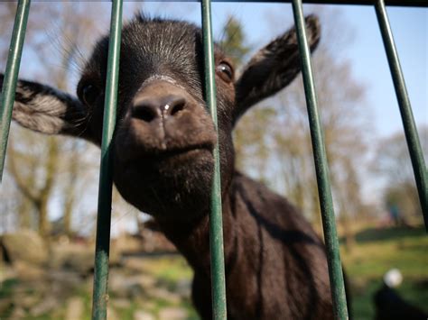 P1184653 Photos Krienke Shares 3nh0kt Thorsten