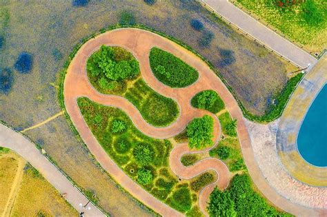 파란 꽃바다 기다립니다 5월 중순 꼭 가봐야 할 수레국화 명소 여행을말하다