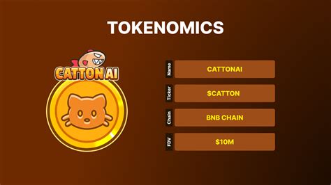 What Is Catton Ai All You Need To Know About Catton