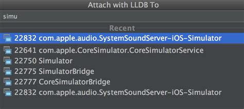 AppCode EAP Opens OptionSetType Support Set Value For Core Data And More The AppCode Blog