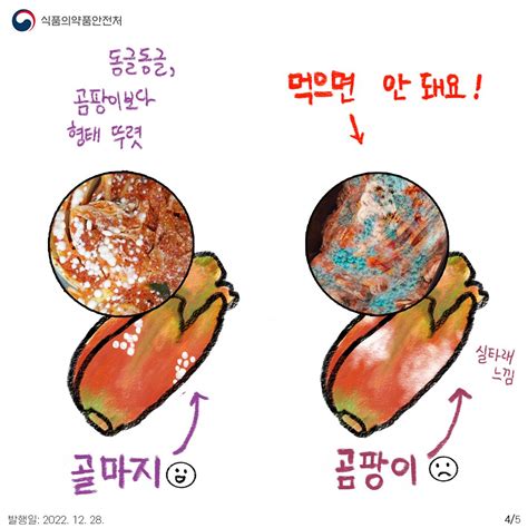 식품의약품안전처 On Twitter 김치 위 흰막은 골마지 김치는 발효 후기가 되면 효모에 의해 흰색막이 생기는데요 이