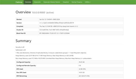 Hadoop 001 — 安装、spring整合测试springboot Hadoop Csdn博客