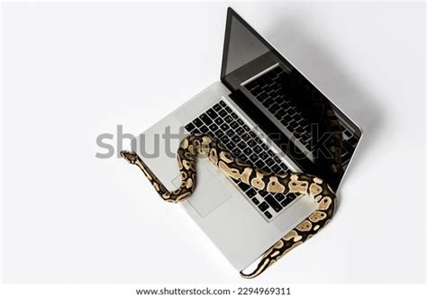 High Level Programming Language Images Stock Photos Vectors Shutterstock