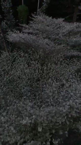 Villa Sofia Silang Cavite Home Facebook