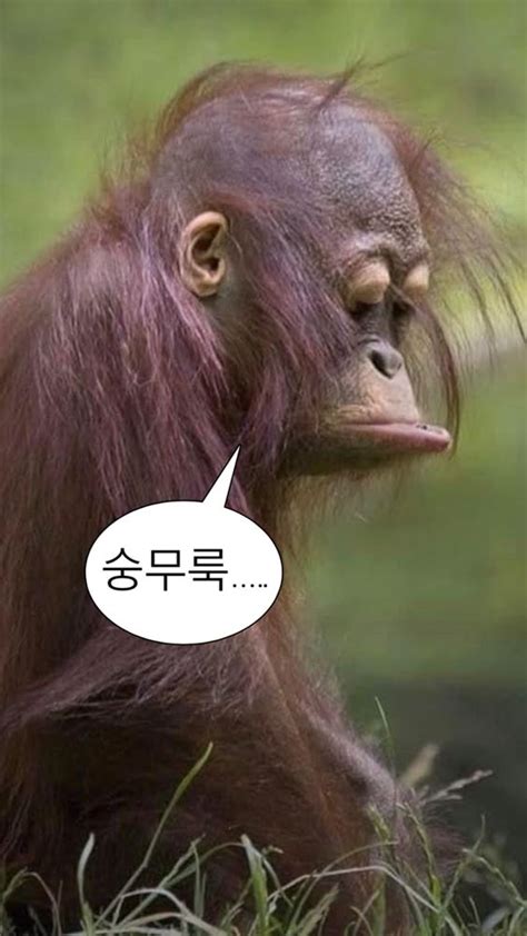 홈케어리프팅 보다 피부과가 낫네요ㅋㅋㅋㅋㅋ 캐시닥 커뮤니티