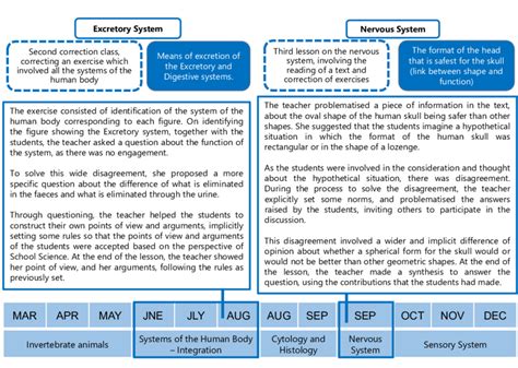 Timeline With The General Characterisation Of The Lessons In Year 8