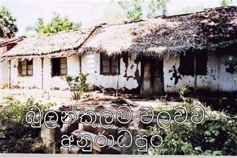 පාරුව පාරුව Added A New Photo