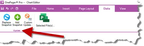 introduction to onepager pro for microsoft project