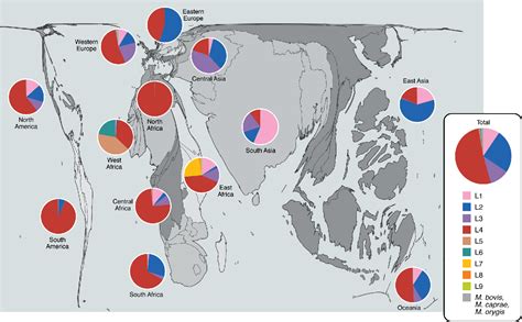 Figure 2 From The Mycobacterium Tuberculosis Genome At 25 Years