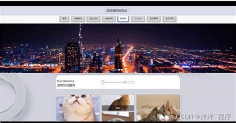 计算机毕业设计node js vue流浪猫狗救助站（程序 源码 lw 部署） web前端计算机应用工程毕设流浪宠物网站 csdn博客