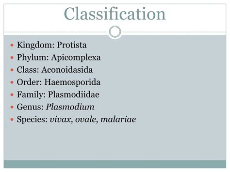 Ppt Plasmodium Spp Powerpoint Presentation Free Download Id918228