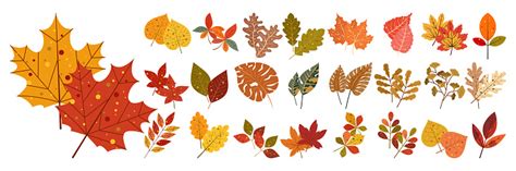 가을 장식과 프레임의 그림 다채로운 단풍 일러스트 생생한 패턴과 자연스러운 디자인 세트 10월에 대한 스톡 벡터 아트 및 기타 이미지 10월 11월 9월 Istock