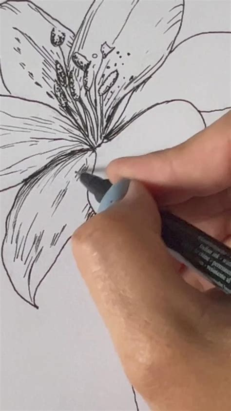 How To Draw A Lily Full Tutorial On YouTube Pen Art Drawings Flower Art Painting Art