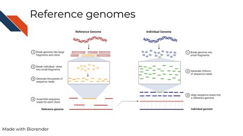 chapter 8 annotating genomes choosing genomics tools