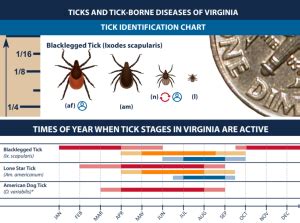 Ticks Toolkit Newsroom